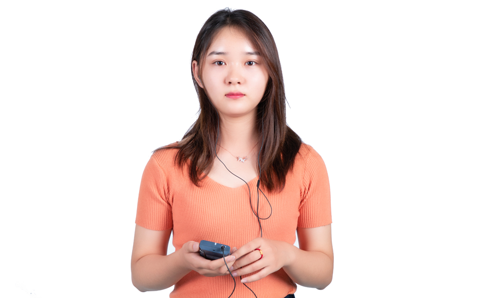 PROFESSIONAL PORTABLE AUDIO GUIDE, TOUR GUIDE SYSTEM, INTERPRETATION ...